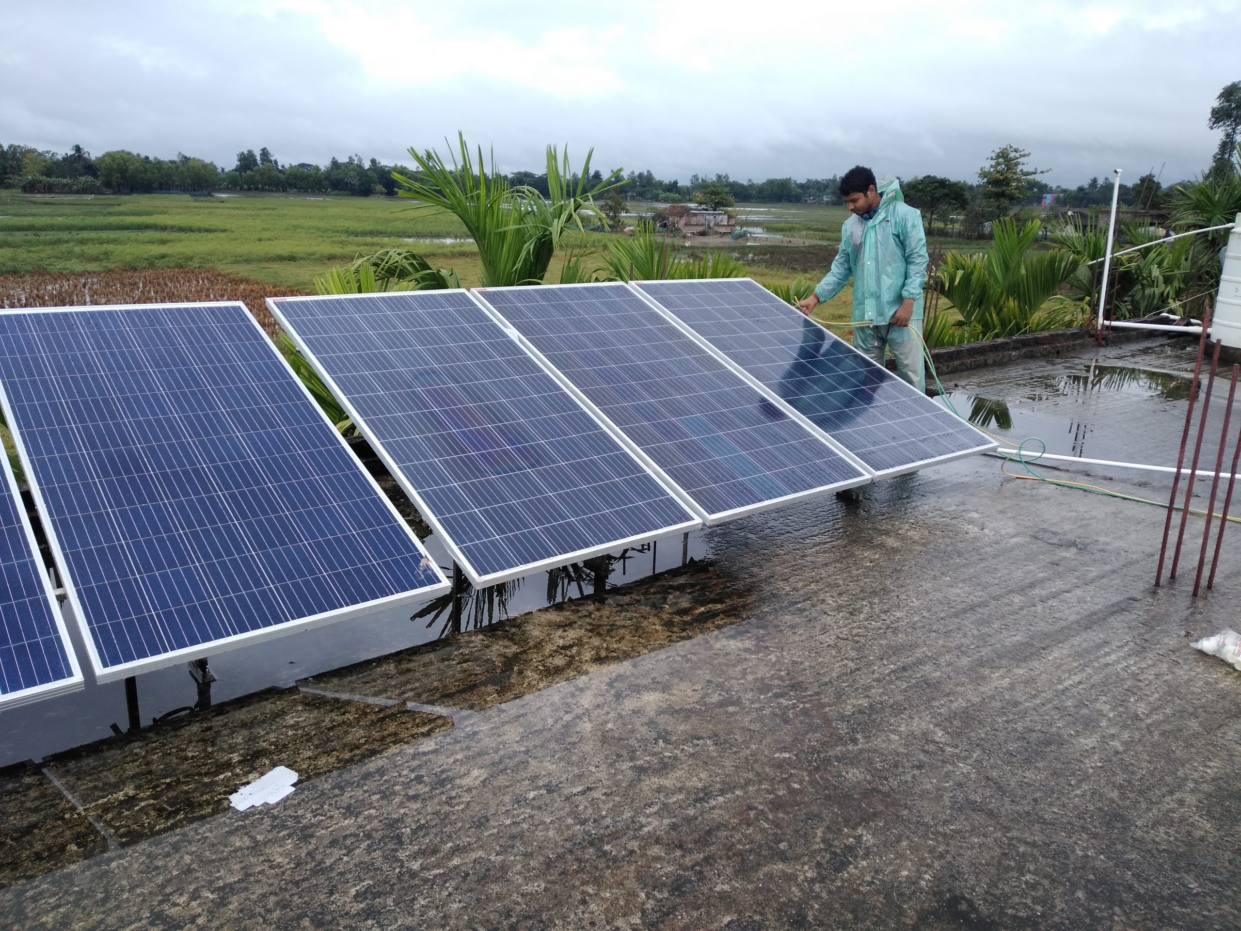 New Project: Albero della Vita - NextEnergy Foundation