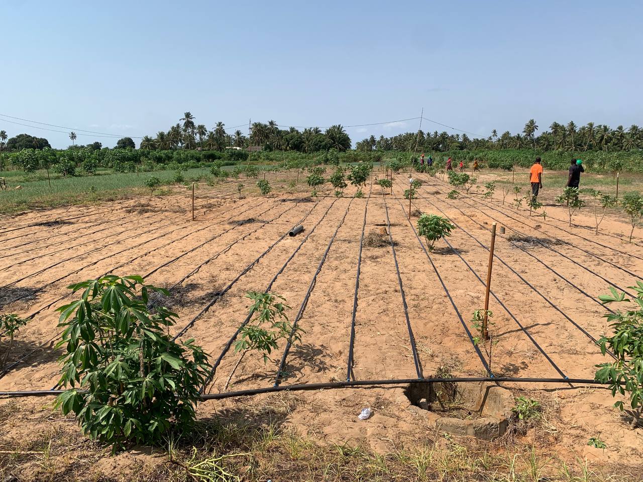 Completion of Solar Powered Irrigation South Volta Region with Dreams ...